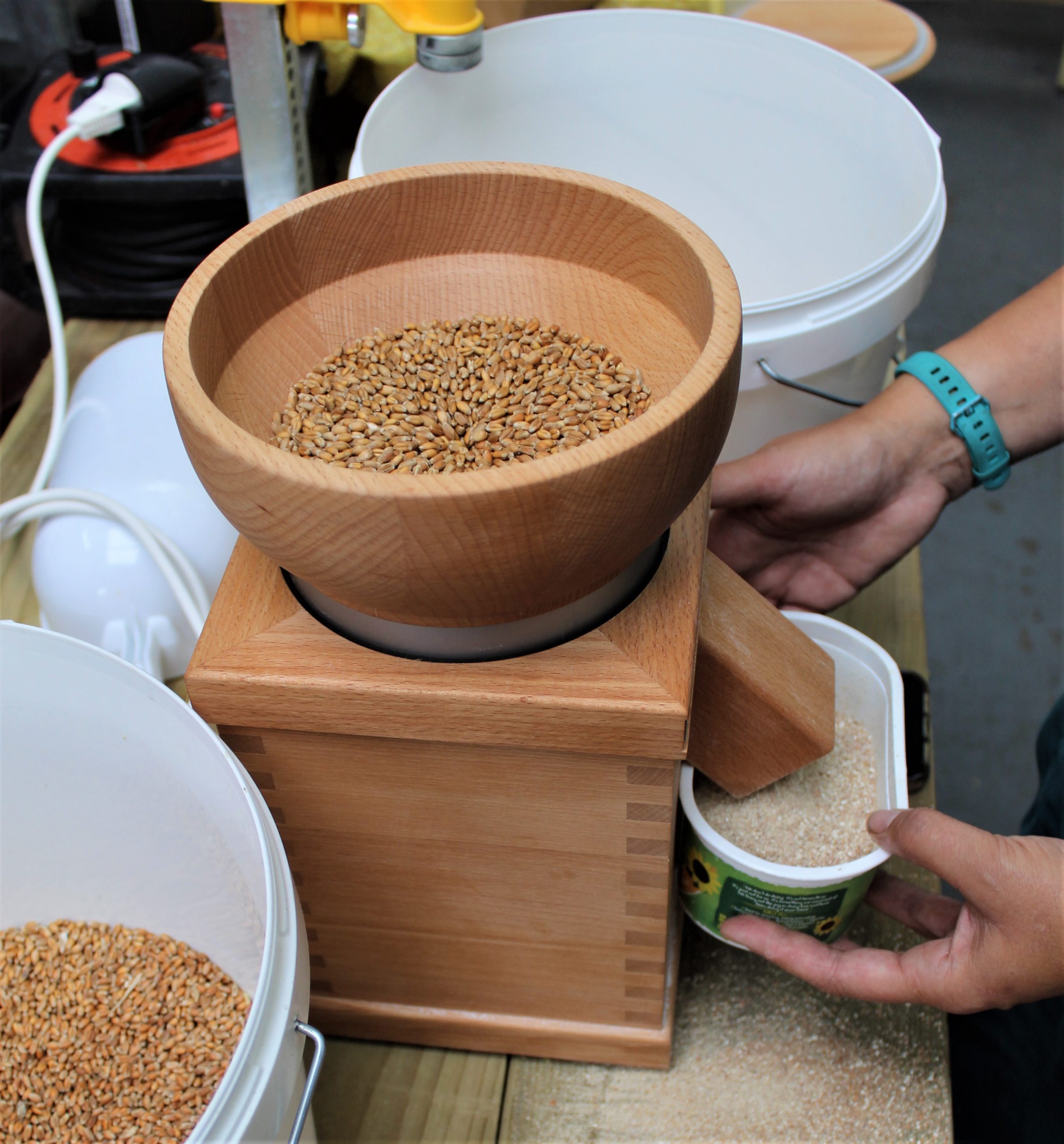 Sheffield Wheat Experiment – CAMRA Sheffield & District